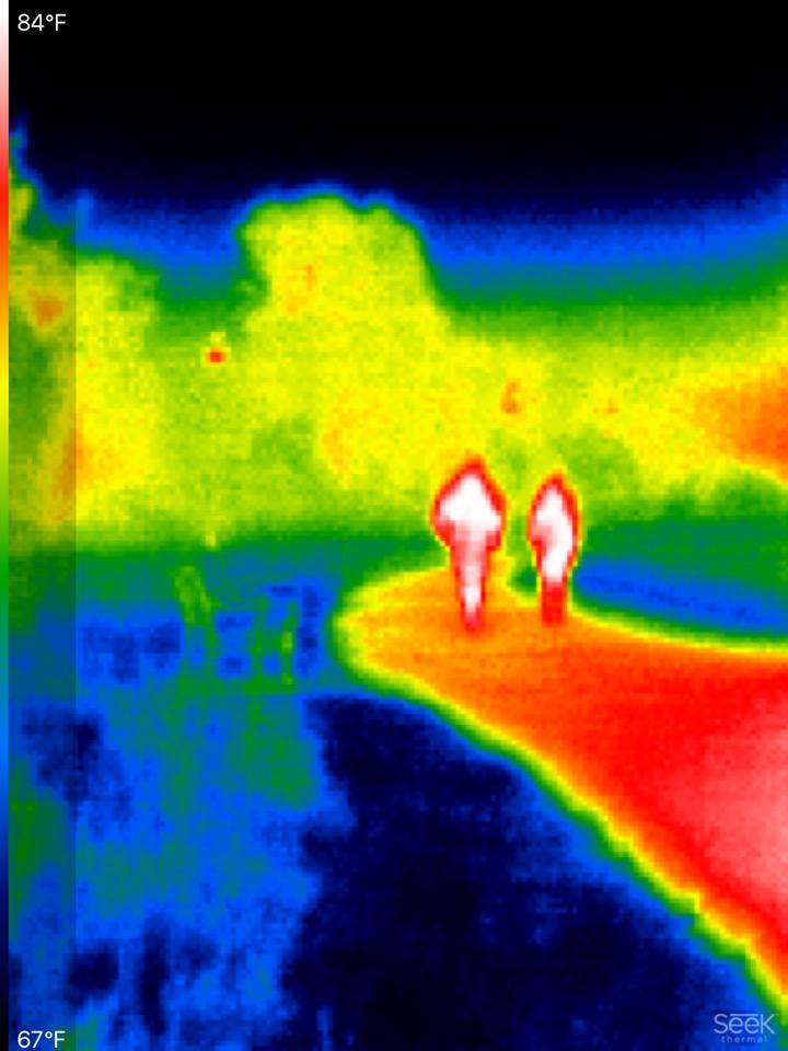People Detection Thermal Infrared Object Detection Dataset And Pre Trained Model By Mohamed Traore