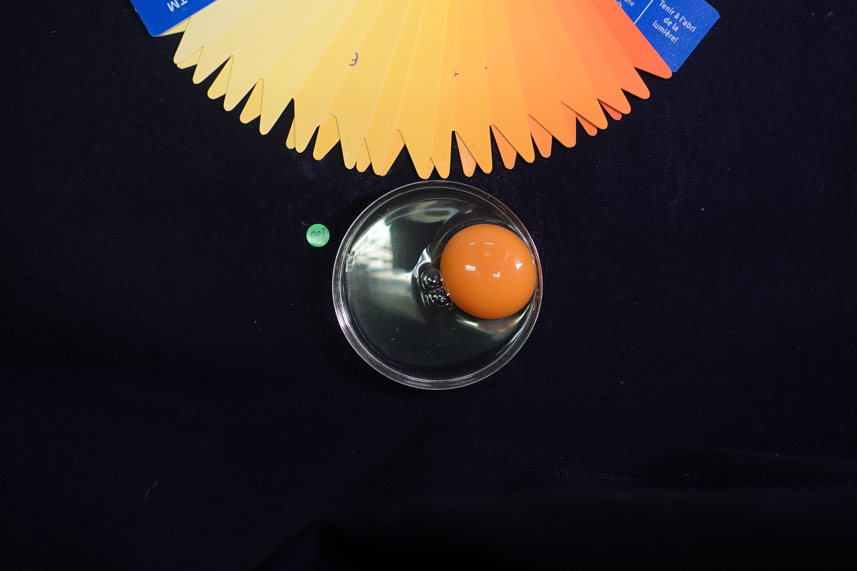 Egg Retrain Object Detection Dataset By Hongchen