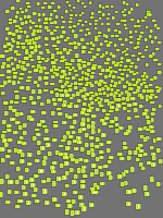 Beans-Dataset Object Detection Dataset and Pre-Trained Model by Biocrops