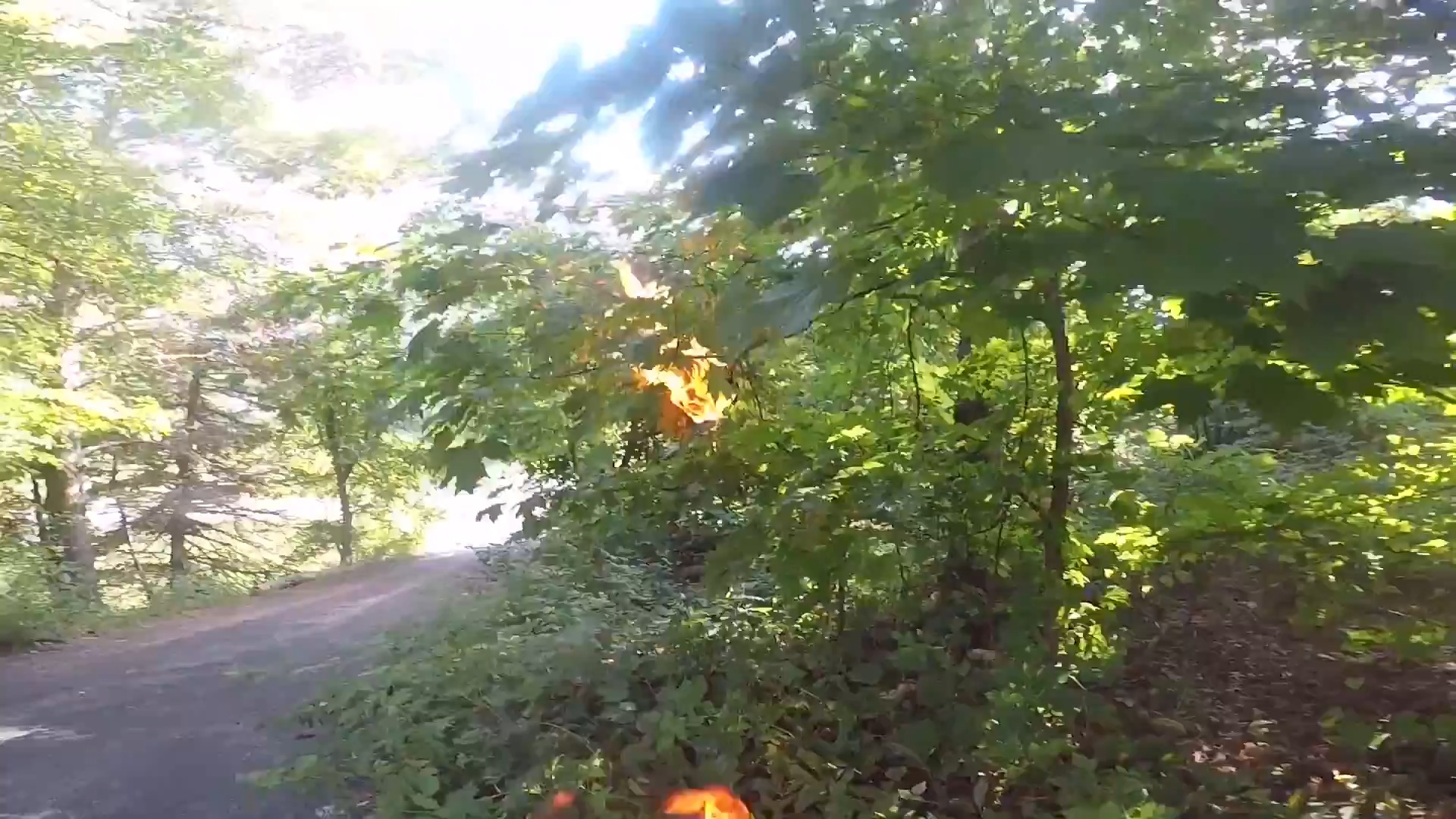 Fire And Smoke Project For V3 Object Detection Dataset By Visionifyai