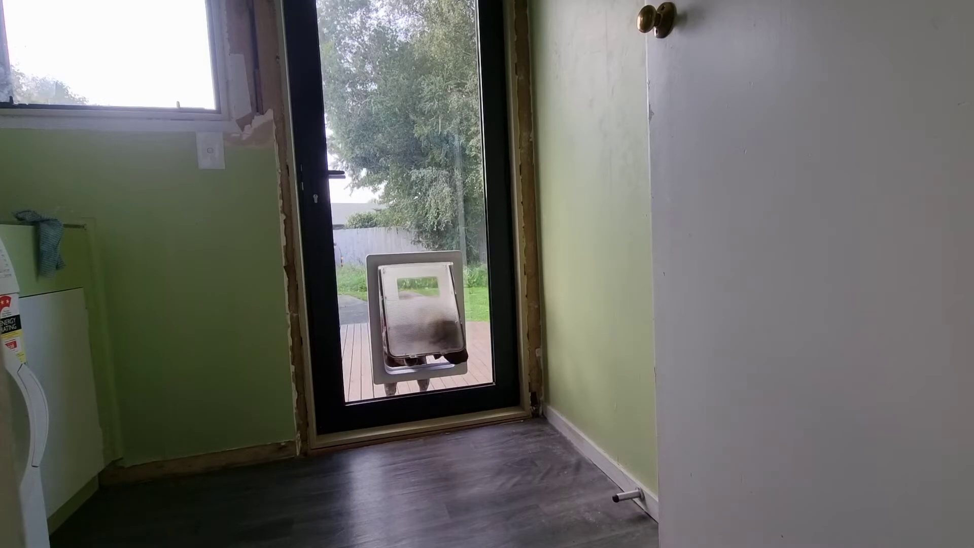 DogDoor - Roboflow Universe