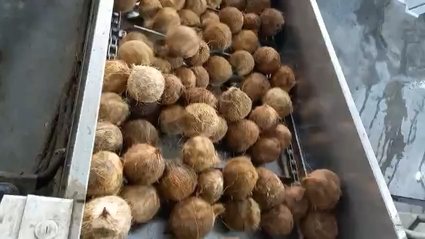 How to Use the Coconut counting Object Detection API