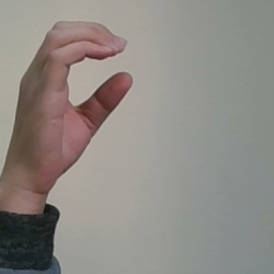 Arabic Sign language Alphabets Object Detection Dataset and Pre-Trained ...