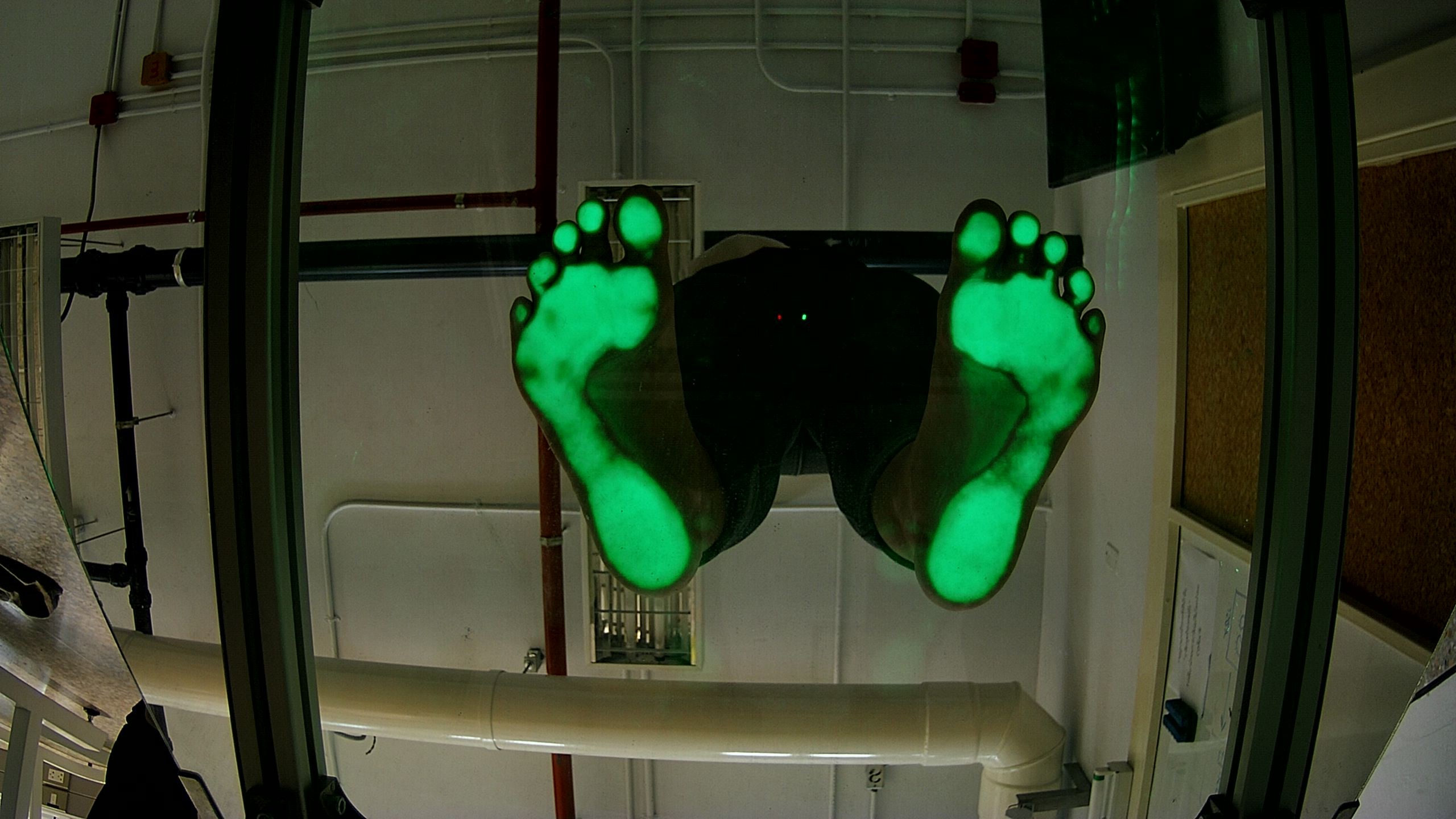 Foot Object Detection Dataset by FootArch