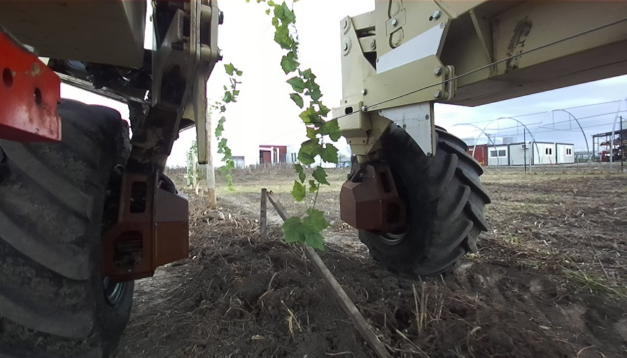 trunk-vine segmentation Instance Segmentation Dataset and Pre-Trained Model by inter