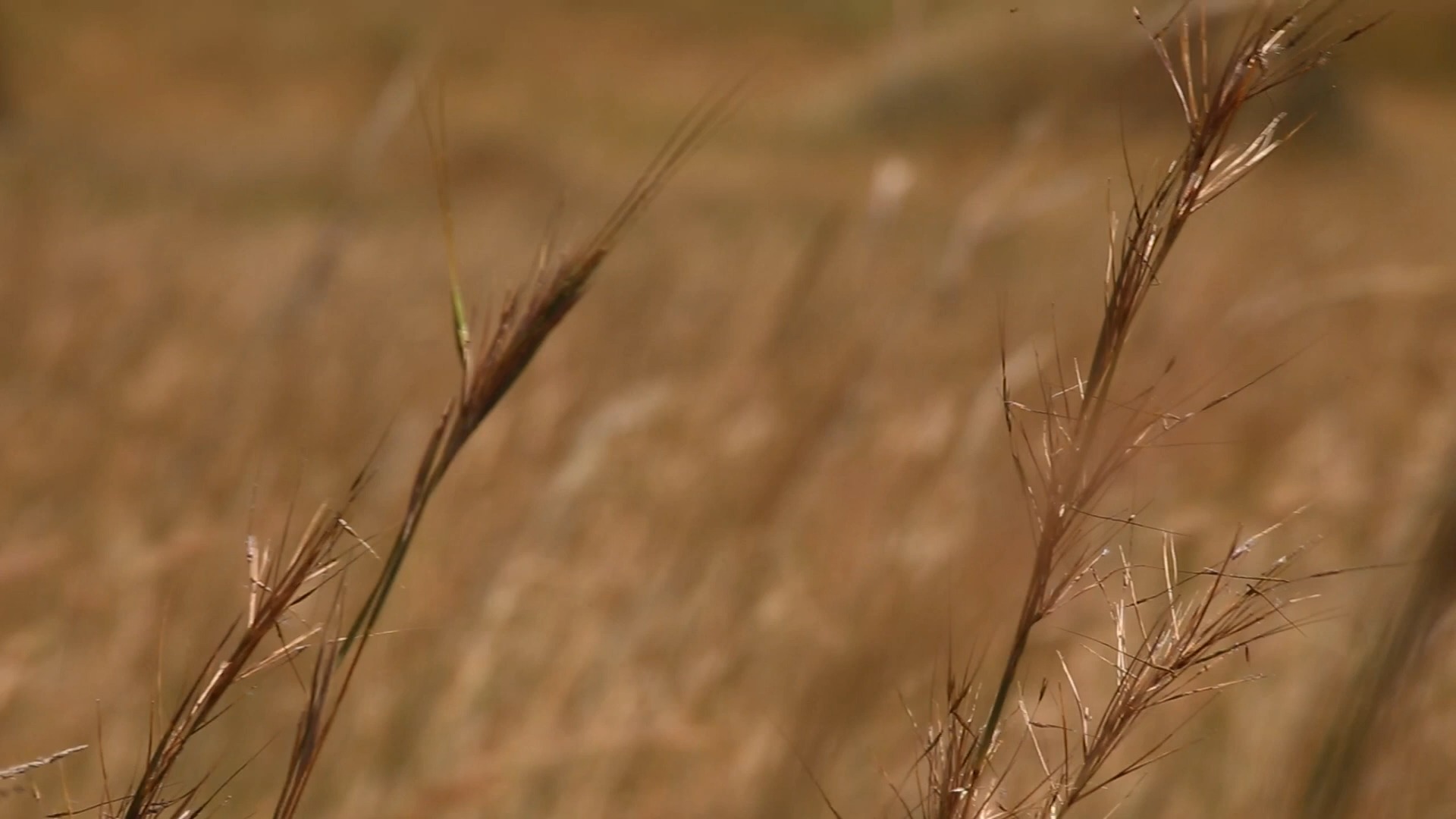 Yolov7 Object Detection Object Detection Dataset V1 2023 12 20 6 04pm