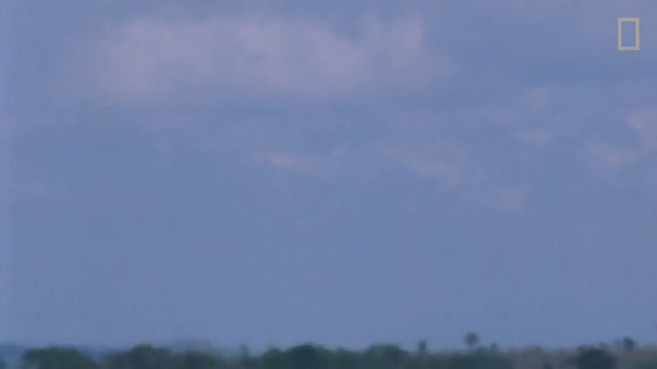 YoloV7 Object Detection Object Detection Dataset and Pre-Trained Model by YOLOv7 tutorial