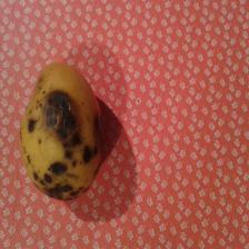 Fresh-vs-Rotten Mango Classification Dataset by University of ...