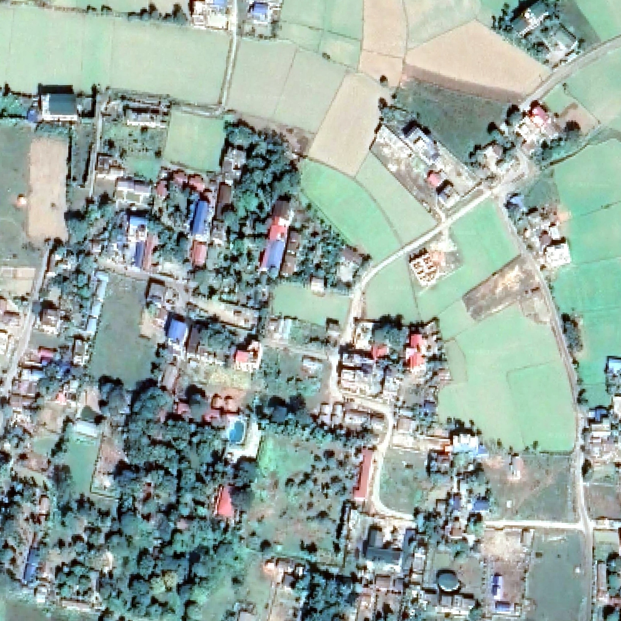 Tree Detection Object Detection Dataset By Tree Detection
