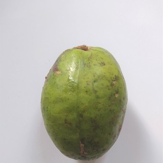 Ambarella Fruits Detection Object Detection Dataset by Raymond E Saragih