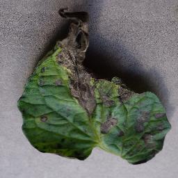 cs114 Object Detection Dataset by tomato