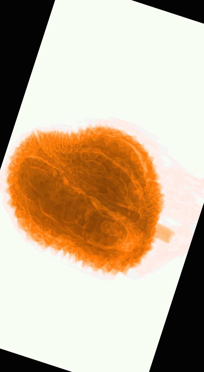 How to Use the Durian_class_I Semantic Segmentation API