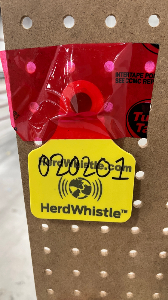 Wai Wan (wai-wan-q4bsj) - Roboflow Universe