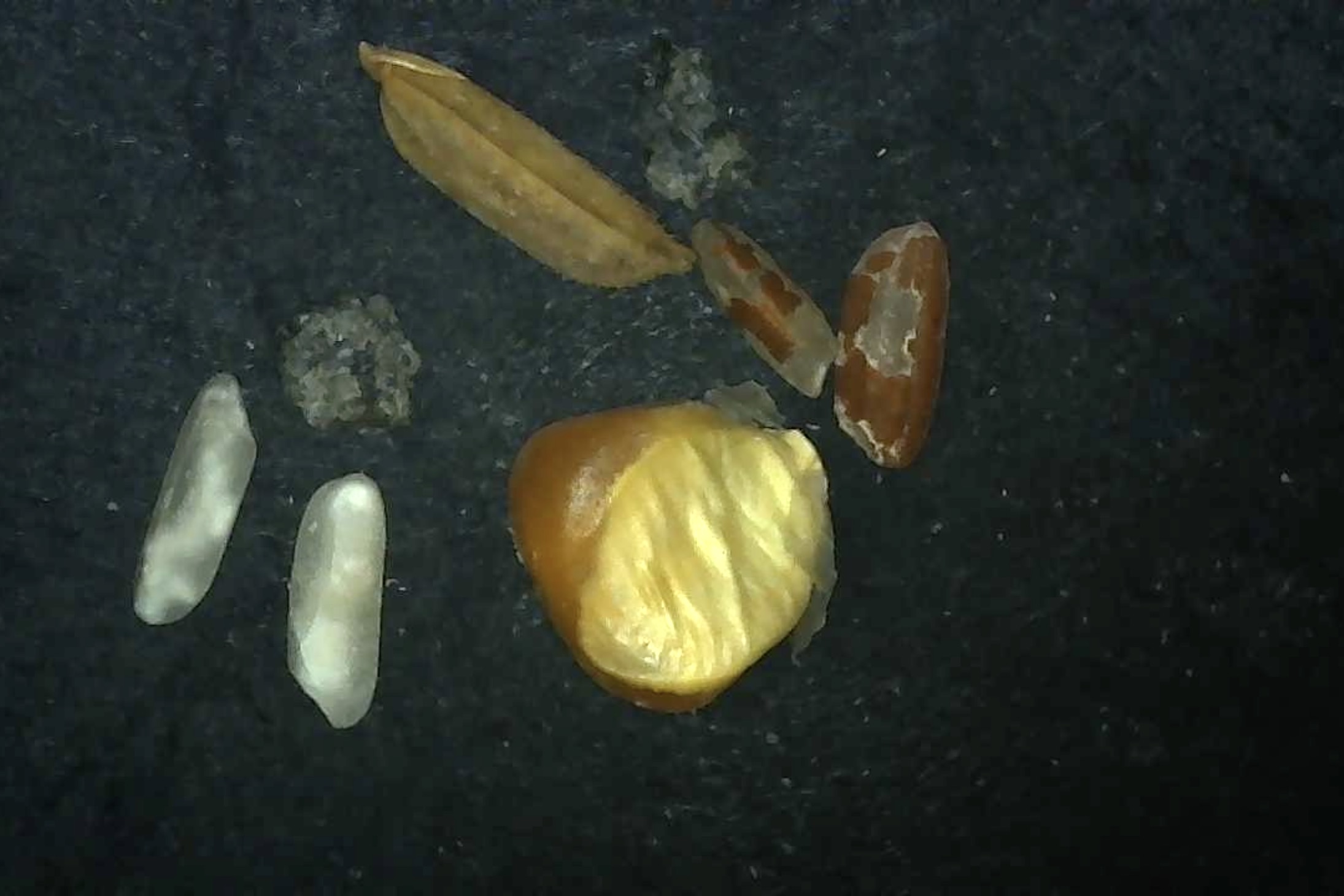 Final Project Object Detection Dataset And Pre Trained Model By My Project