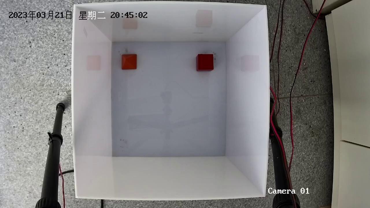 boxx Object Detection Dataset by Gui University