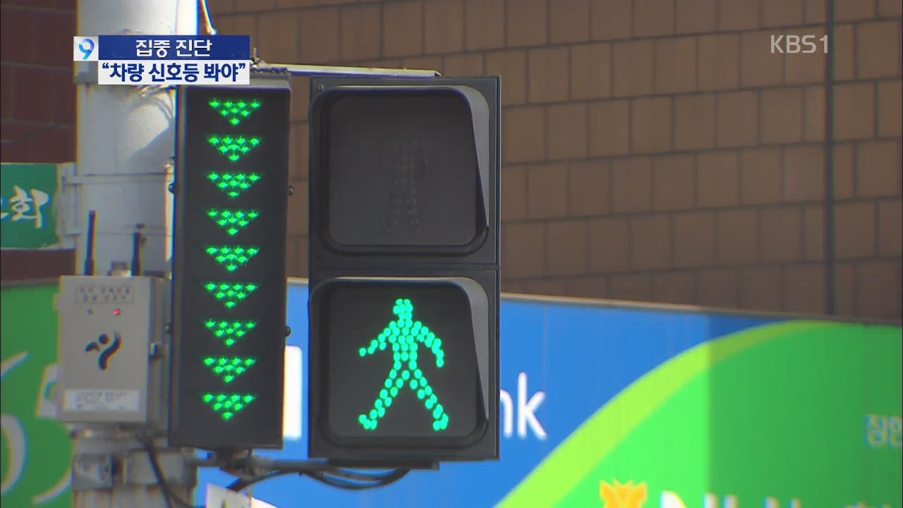Traffic Light Object Detection Dataset By Traffic Light