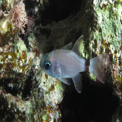 SHI YUNING - Roboflow Universe