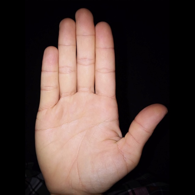 palm Object Detection Dataset and Pre-Trained Model by hand