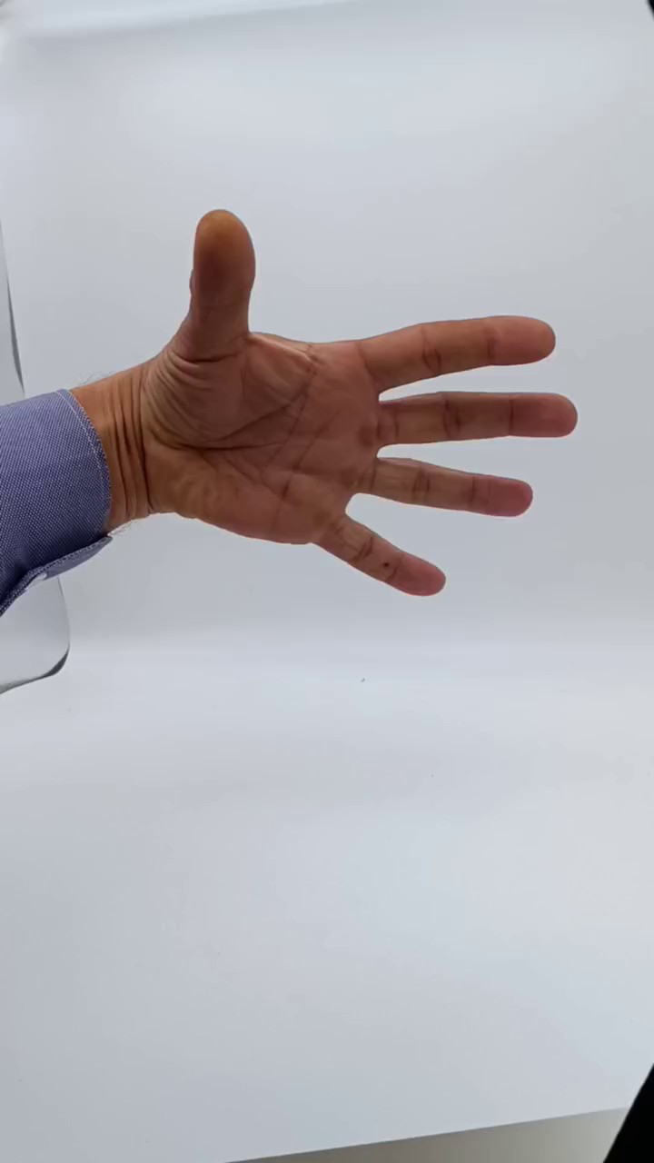 Hand Object Detection Dataset And Pre Trained Model By Project Wcfdv