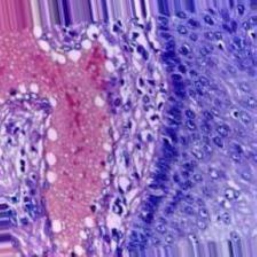 Cellsegmentation Instance Segmentation Dataset And Pre Trained Model By