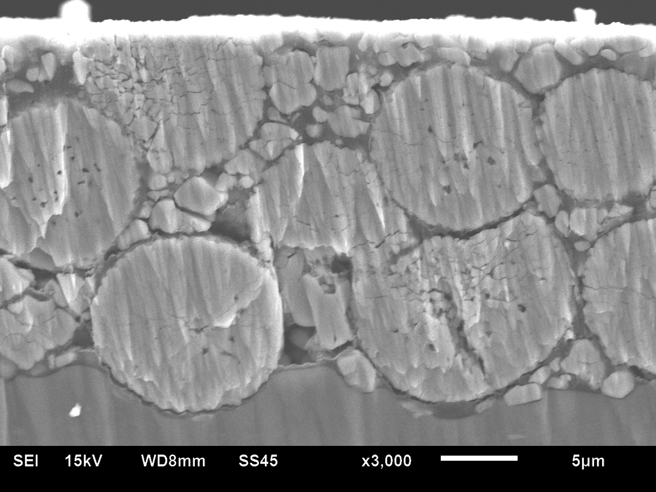 SEM images Object Detection Dataset and Pre-Trained Model by yuyu
