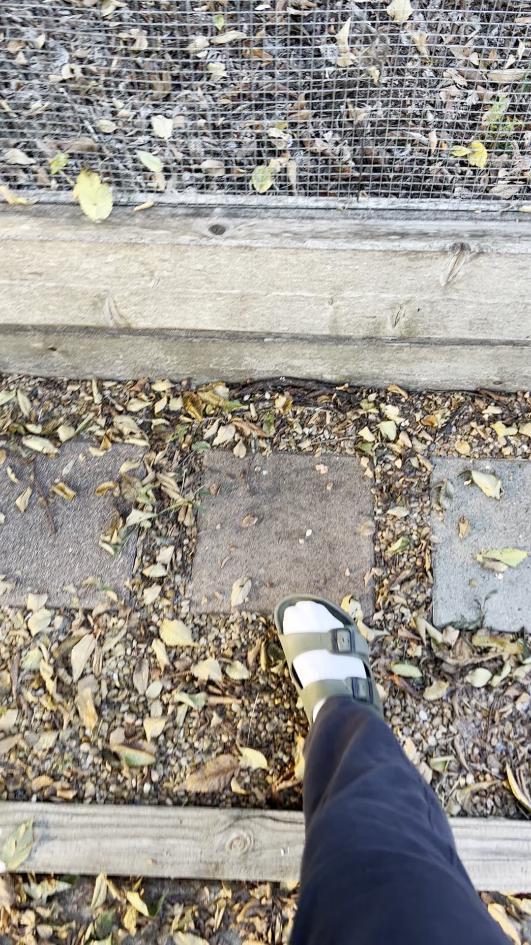 Agriculture Object Detection Dataset And Pre Trained Model By Roboflow Demo Projects