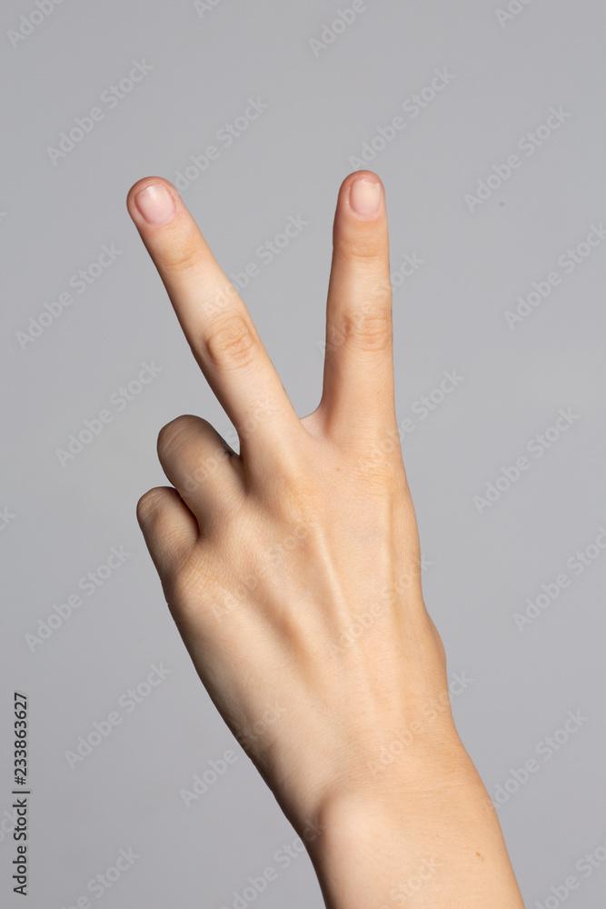 star-finger-gesture Object Detection Dataset by ez