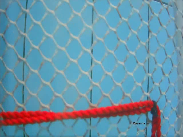 Line Detect Object Detection Dataset And Pre Trained Model By Workspace