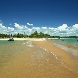 How to Use the Beach Object Detection Object Detection API