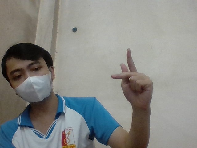 Vietnamese Sign Language Object Detection Dataset By Class