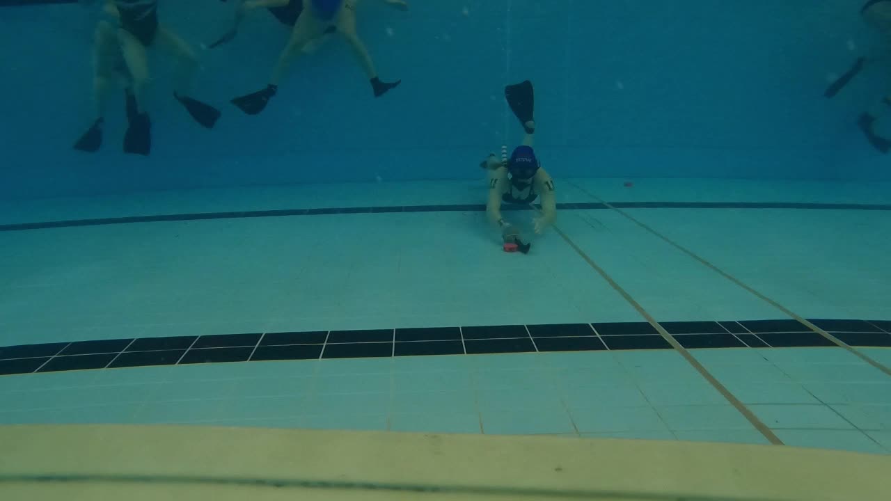 Underwater Hockey Puck Object Detection Dataset and Pre-Trained Model by Cam Arnold