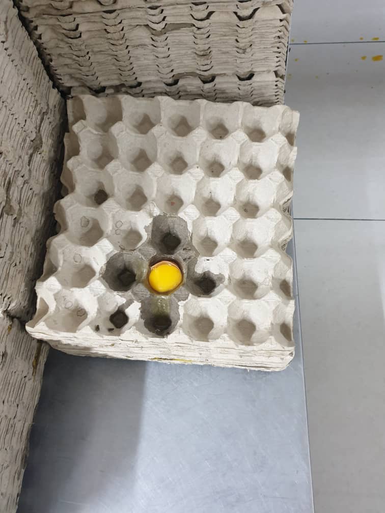 Tray Object Detection Dataset by Personal