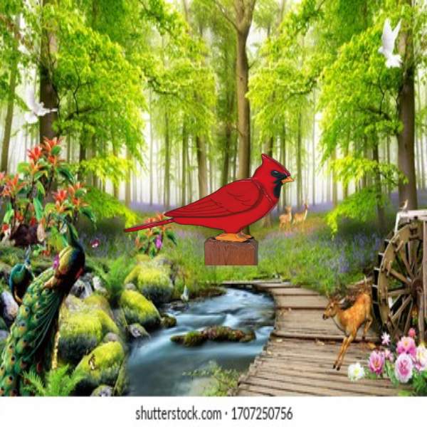 Random Placement and sizes of objects Object Detection Dataset and Pre ...