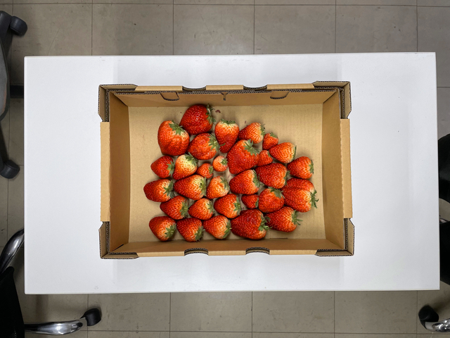 strawberry detector Object Detection Dataset and Pre-Trained Model by strawberry