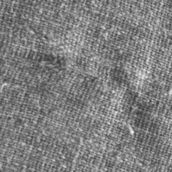 teks_ism Object Detection Dataset by TeksWS