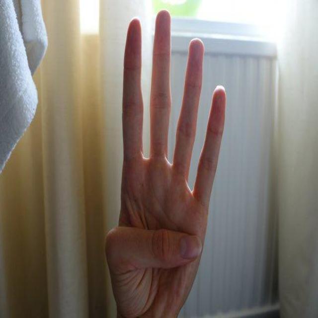 Hands Detection Object Detection Dataset and Pre-Trained Model by ensam