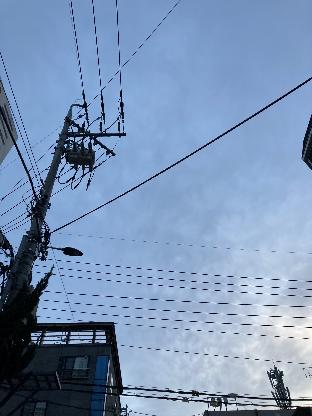 Power Line Segmentation Semantic Segmentation Dataset and Pre-Trained ...