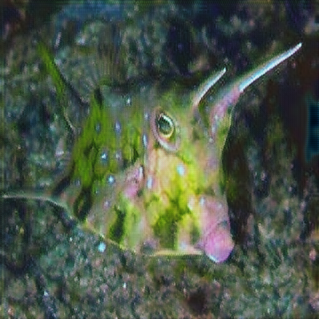 Underwater Object Detection Dataset And Pre Trained Model By Test