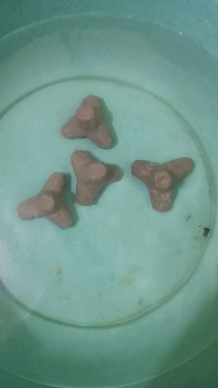 Datasets Awal TA Object Detection Dataset and Pre-Trained Model by ...