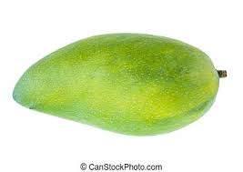 Fresh Mango Object Detection Dataset by 8sem II