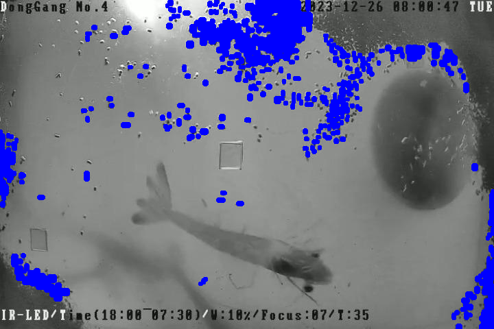 yolov8 Instance Segmentation Dataset by shrimp