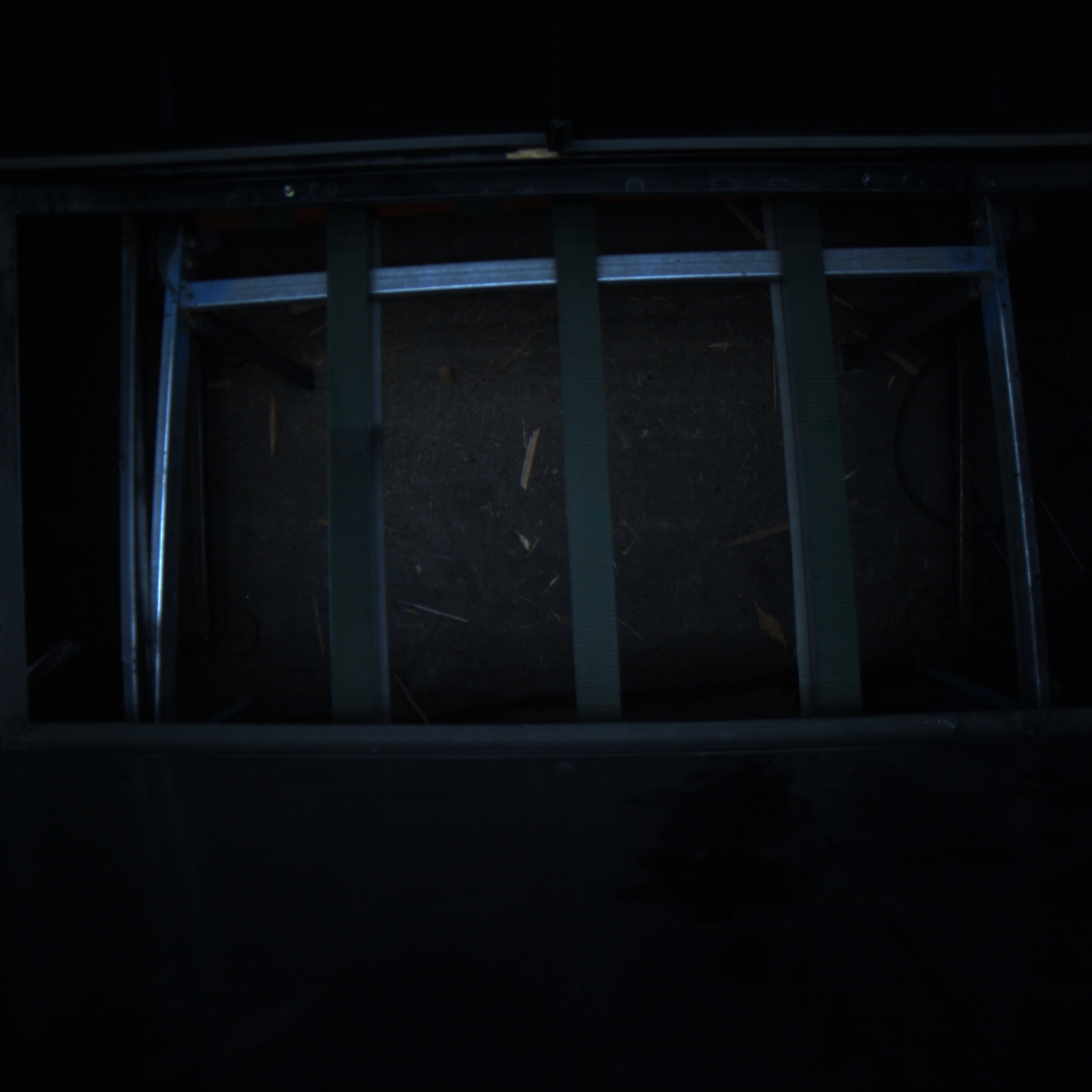 2022-06-28-3ji Object Detection Dataset by wood defect