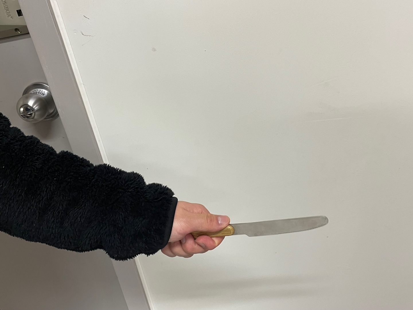 knife-detection Object Detection Dataset by school