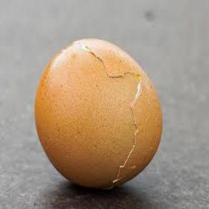 test Object Detection Dataset by new-workspace-lor6z