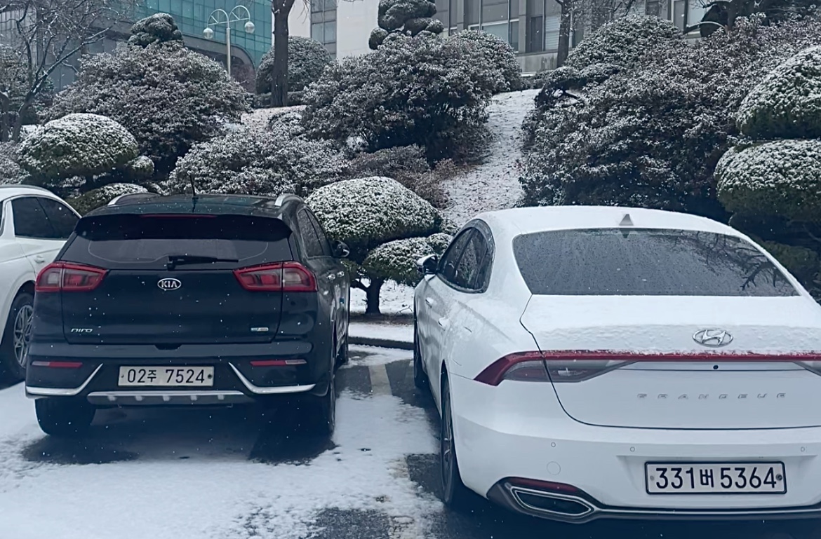 How to Use the Realtime Video Logo Detection Object Detection API