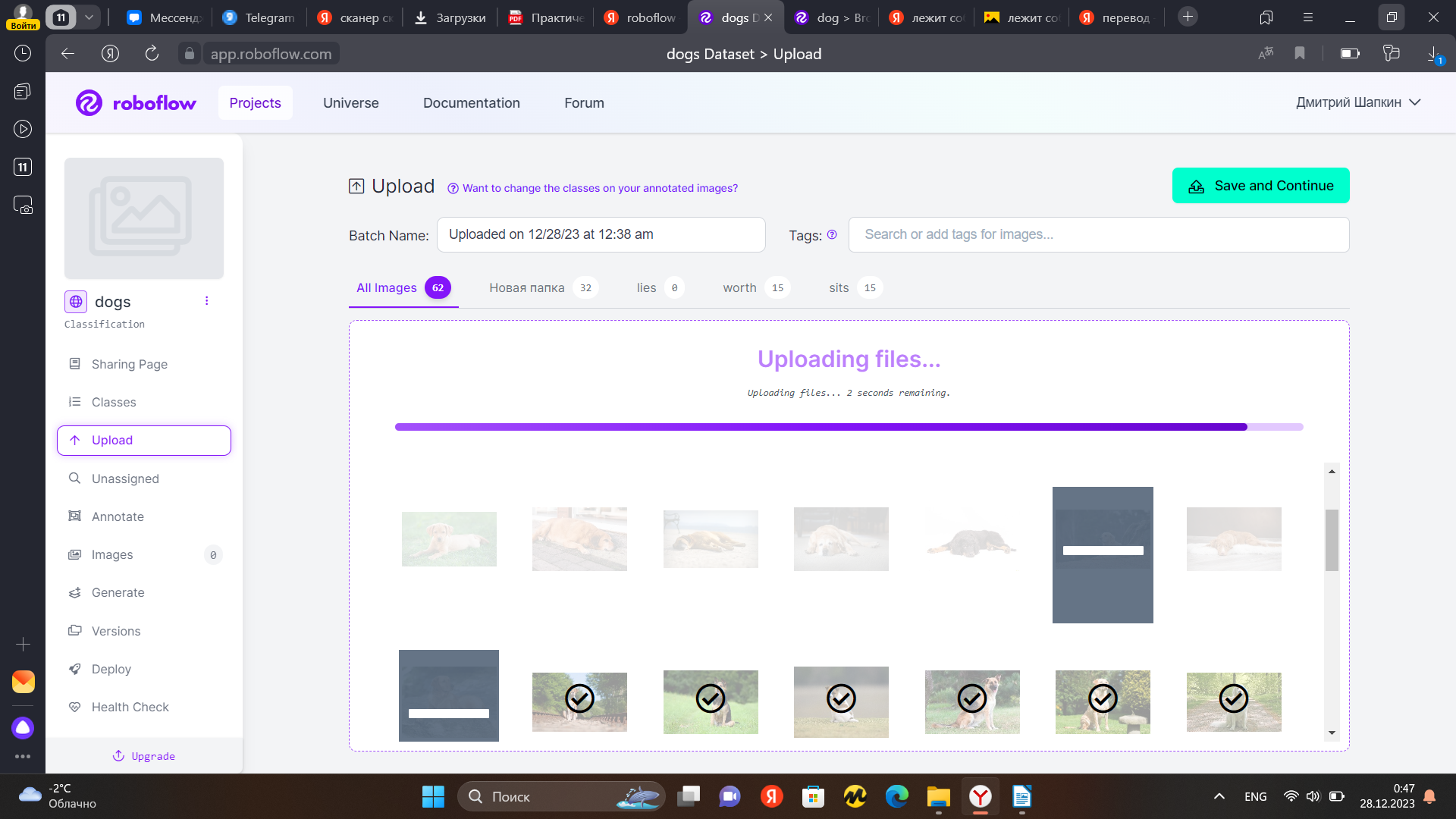 dog Instance Segmentation Dataset by project-syiox