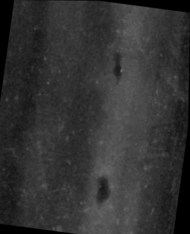 ew Classification Dataset by TEST111