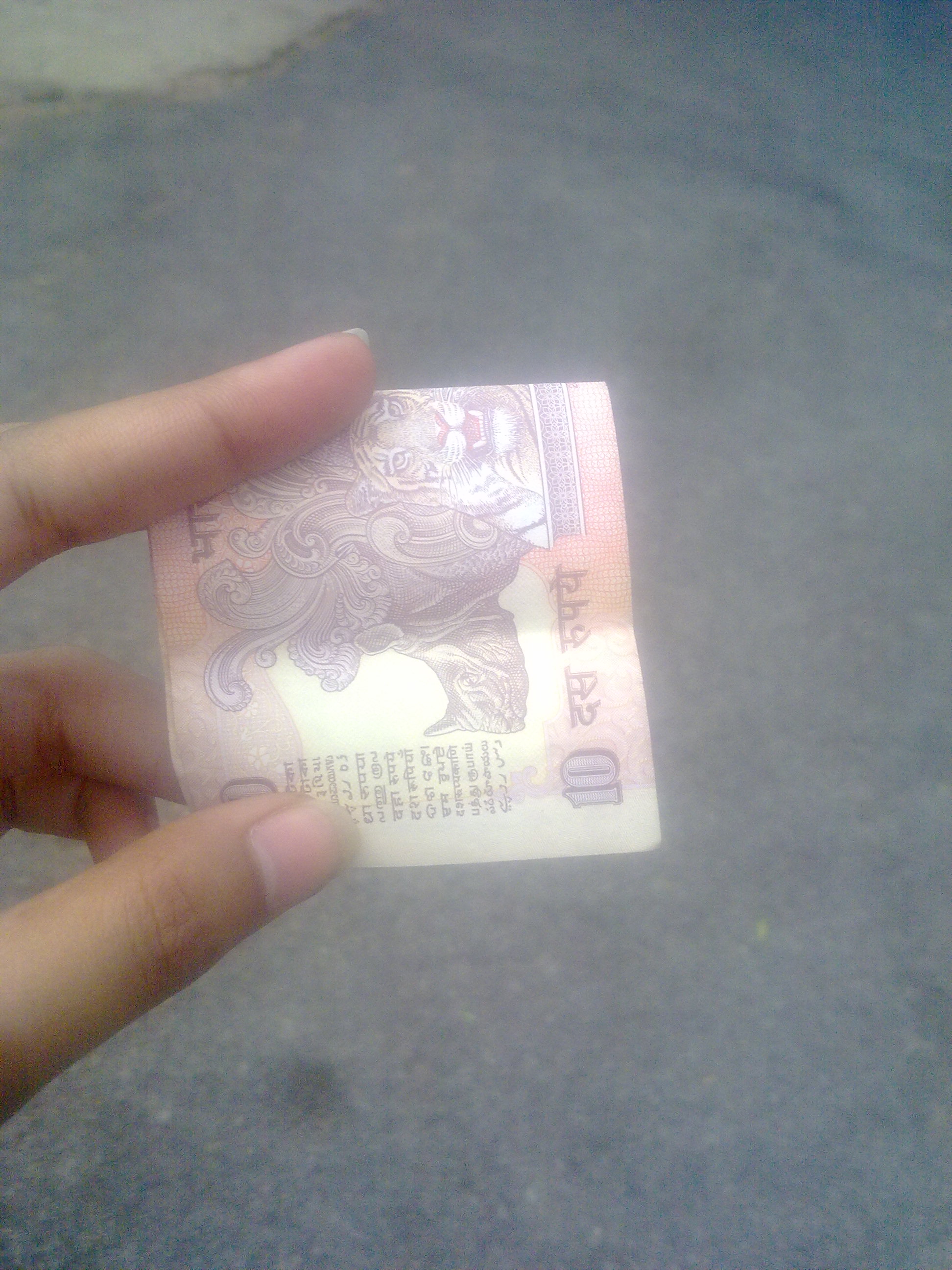 How to Use the Train notes Object Detection API