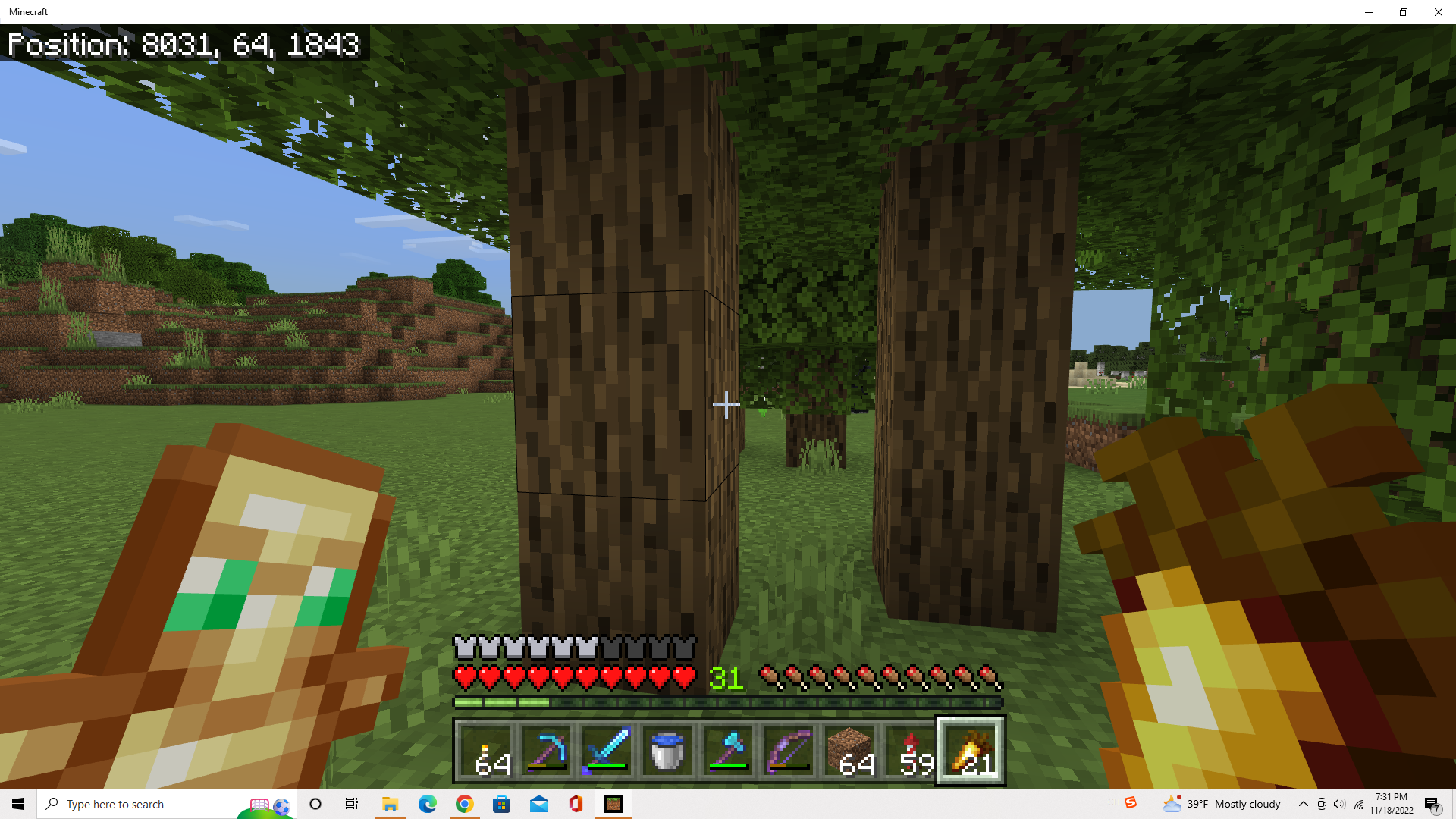 minecraft_tree_bot Object Detection Dataset by minecrafttreechoppingbot