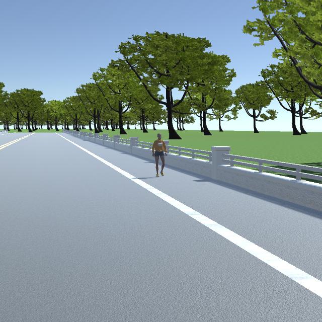 Pedestrian Detection Object Detection Dataset By Somaya